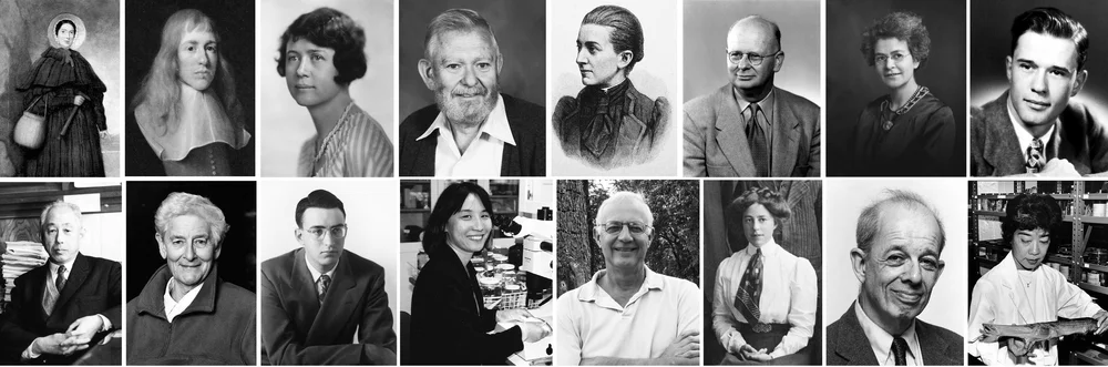 Ichthyopedia: A Biographical Dictionary of Ichthyologists — American ...