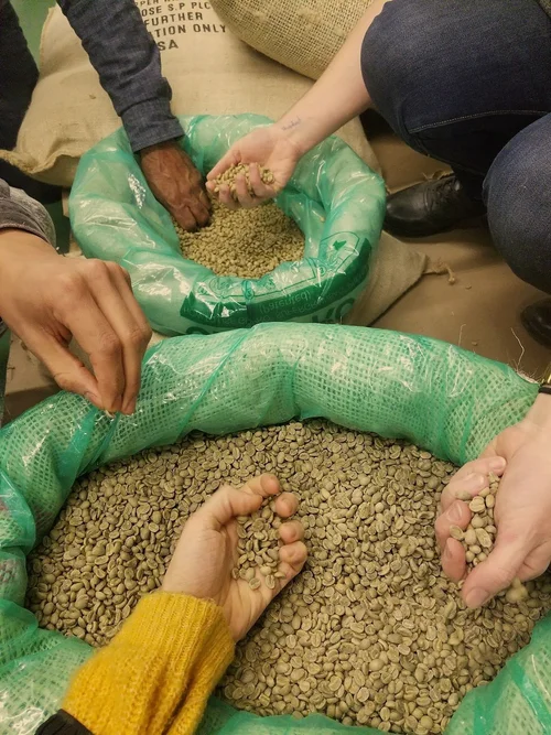 WHOLESALE — JAVA'S WHATS ROASTING