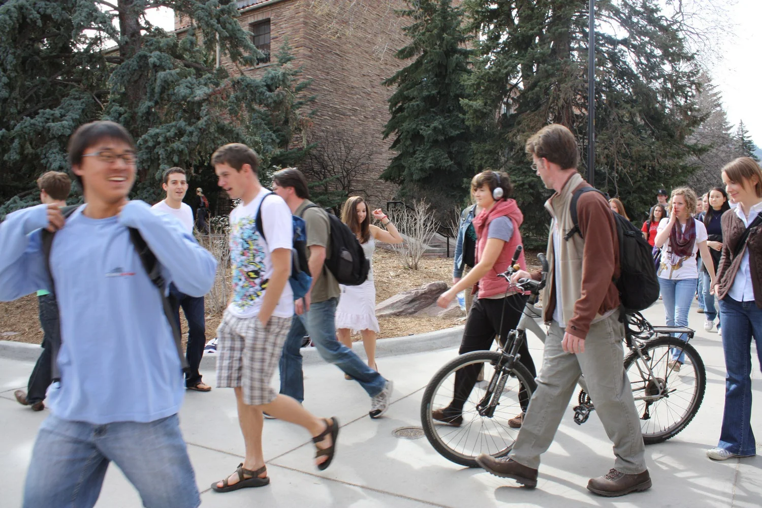 Campus Projects — Aubrey Sacco