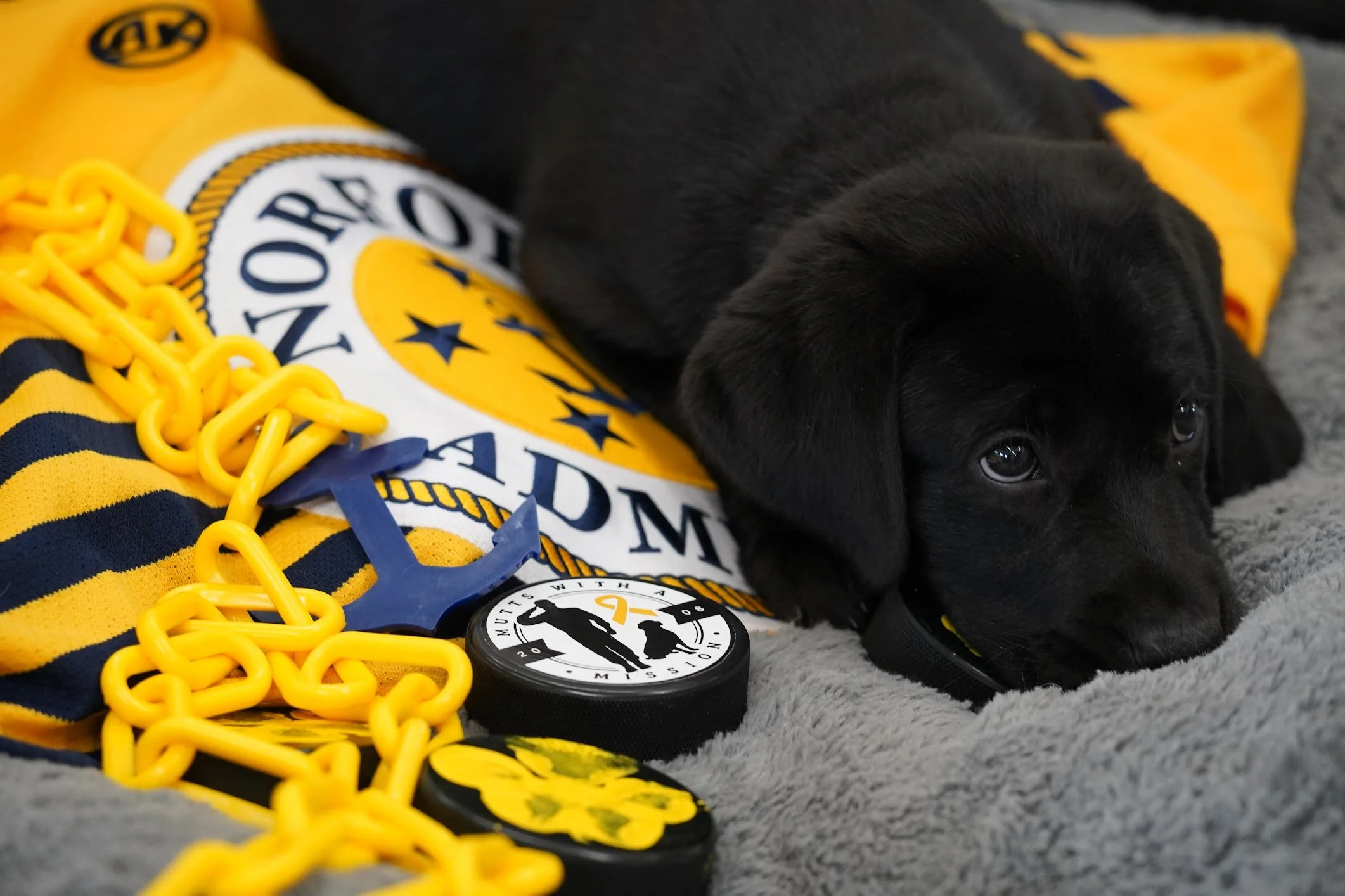 Pucks and Paws Presented by Mutts with a Mission — Mutts With A Mission