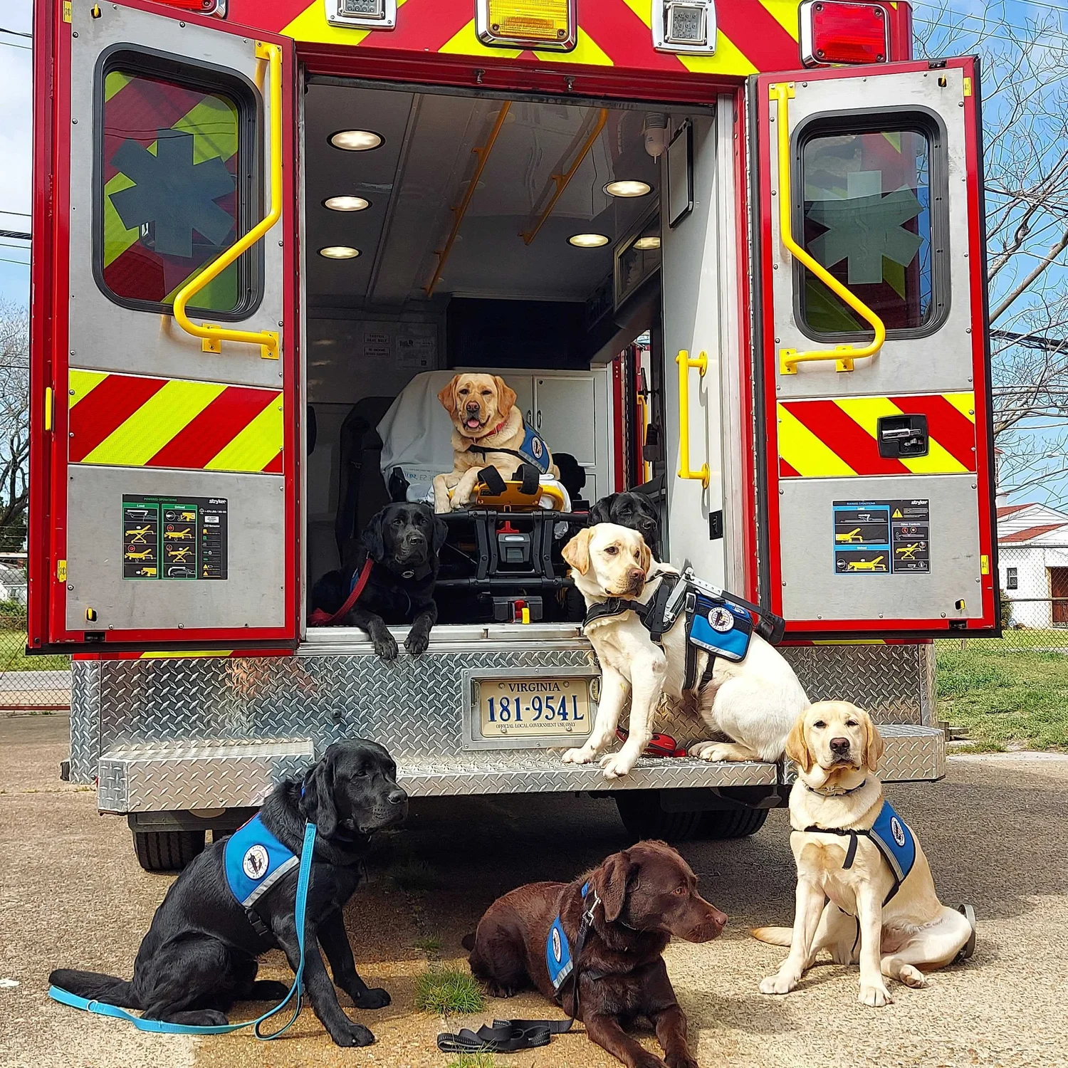 First Responders — Mutts With A Mission