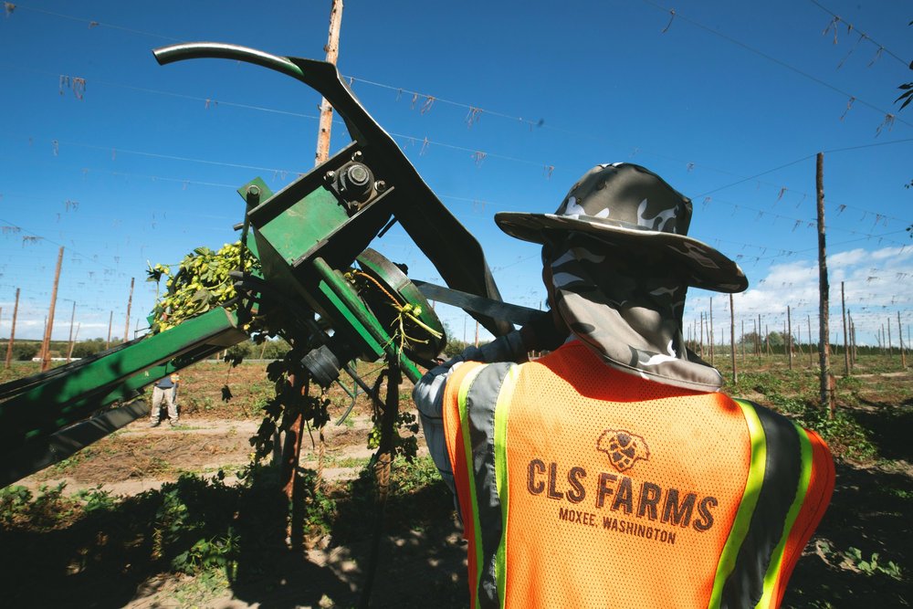 CLS Farms — Trampoline Design | Award Winning Women-Owned Agency
