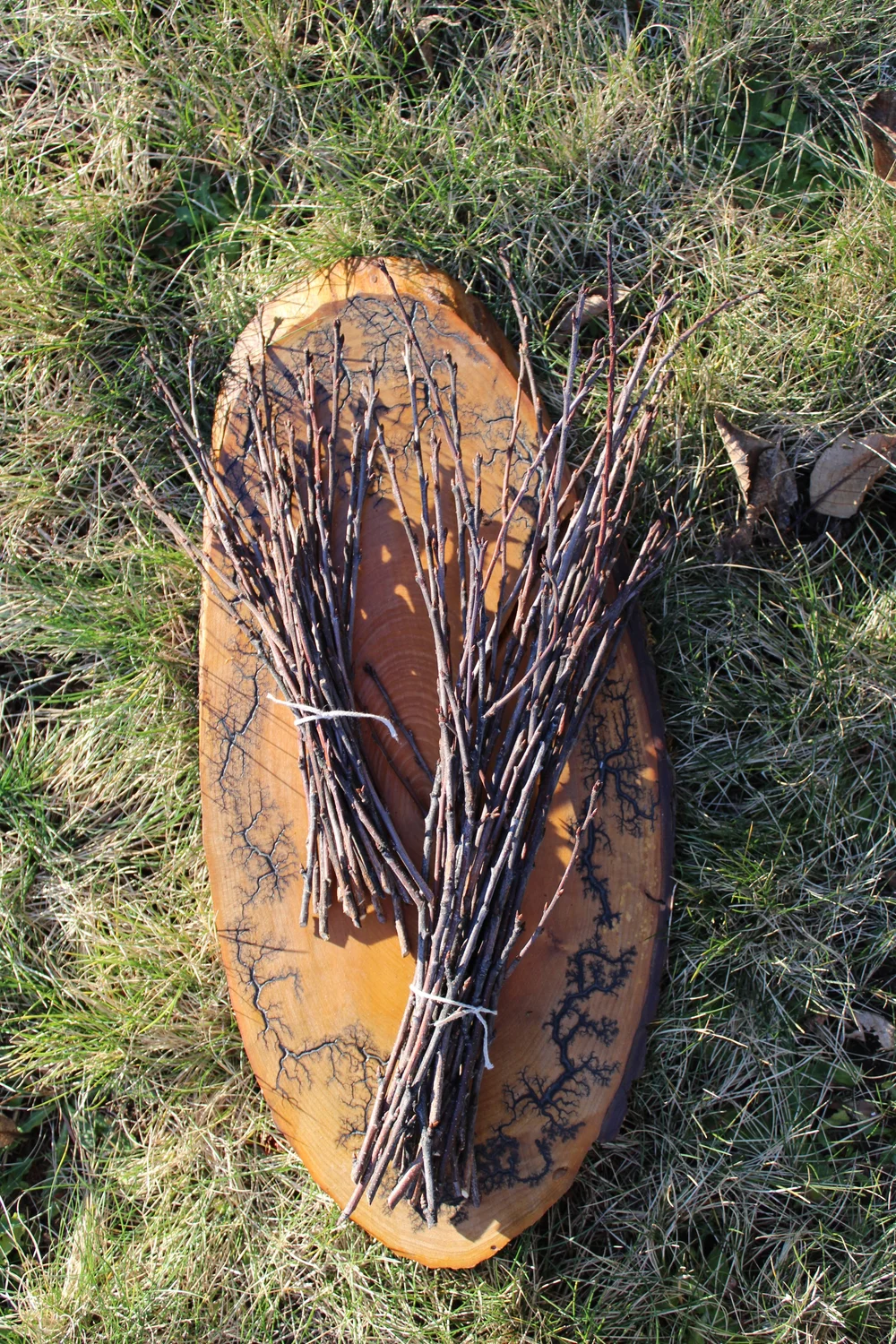 Onion Skins now available for all you home dyeing projects. — WESTWOOD ...