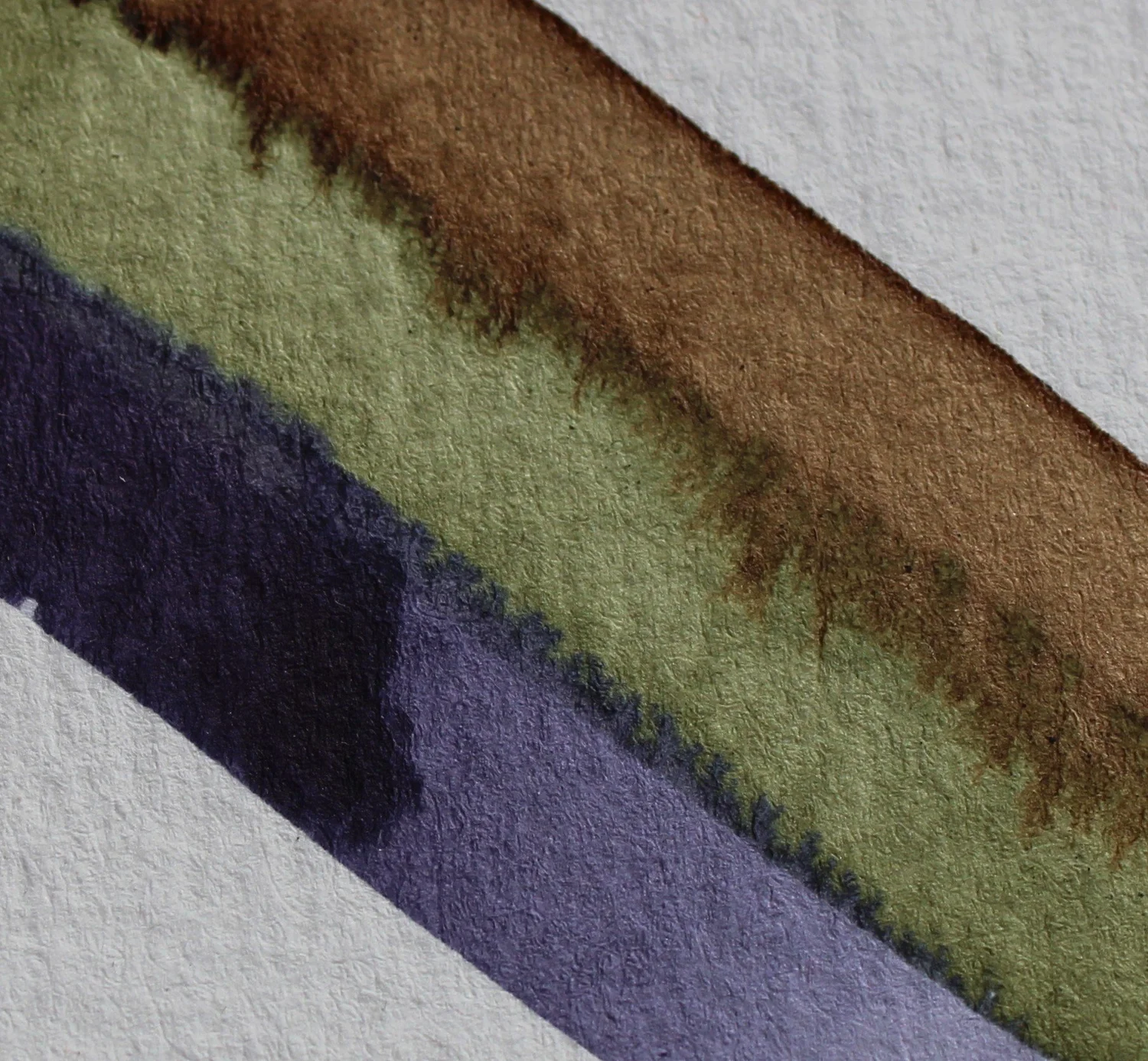 WESTWOOD COLOR