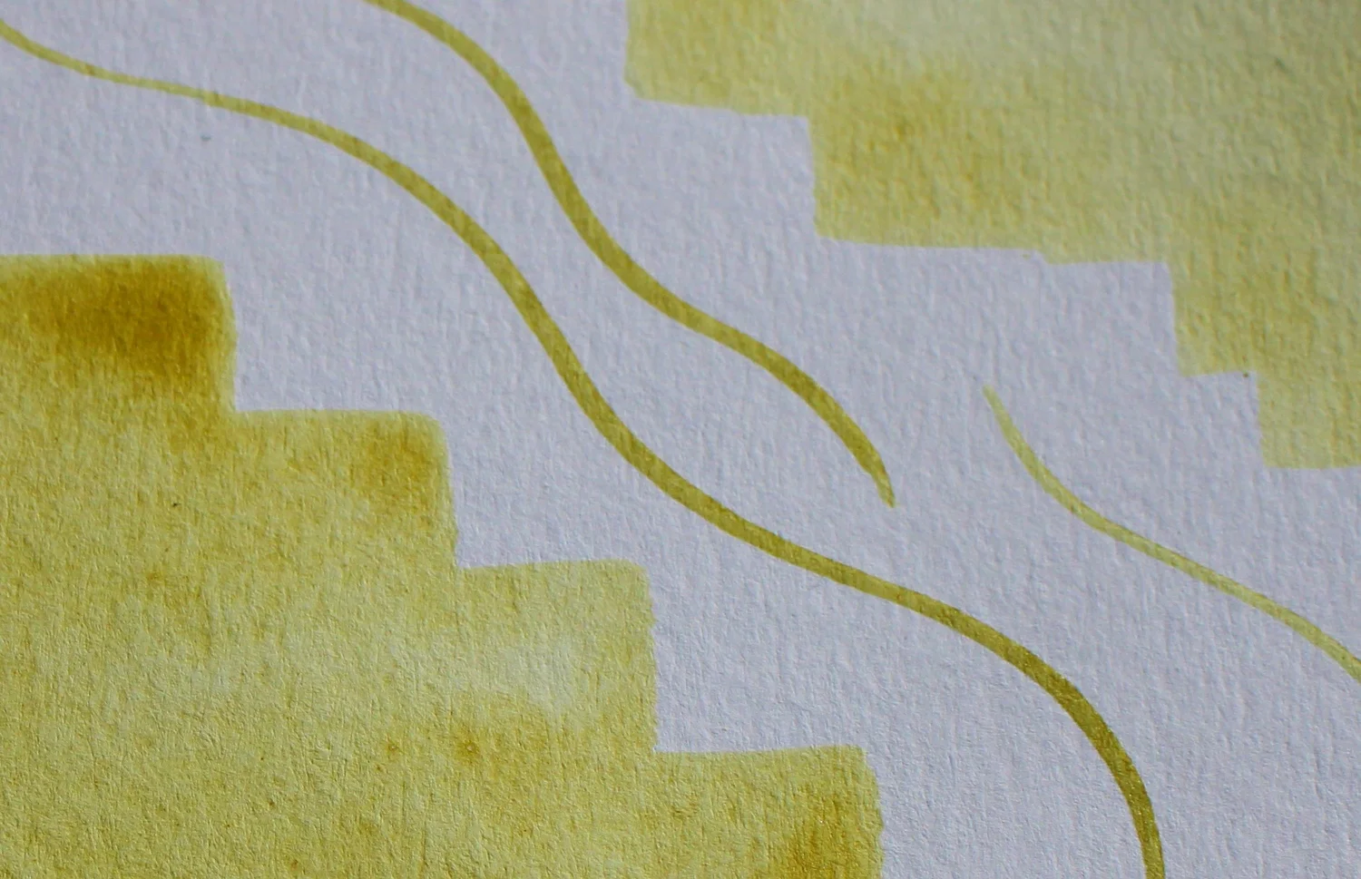 Onion Skins now available for all you home dyeing projects. — WESTWOOD ...