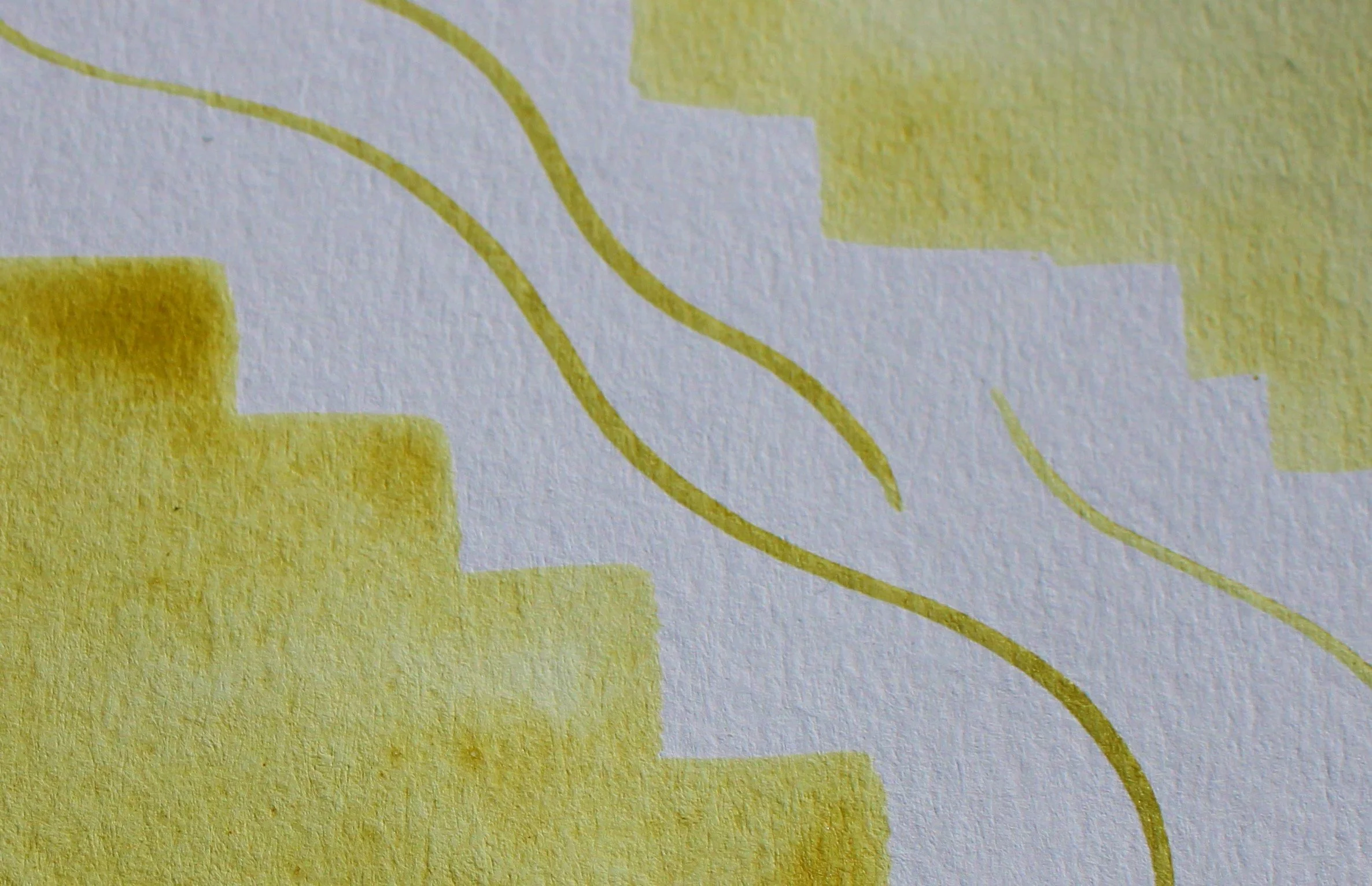Onion Skins now available for all you home dyeing projects. — WESTWOOD ...