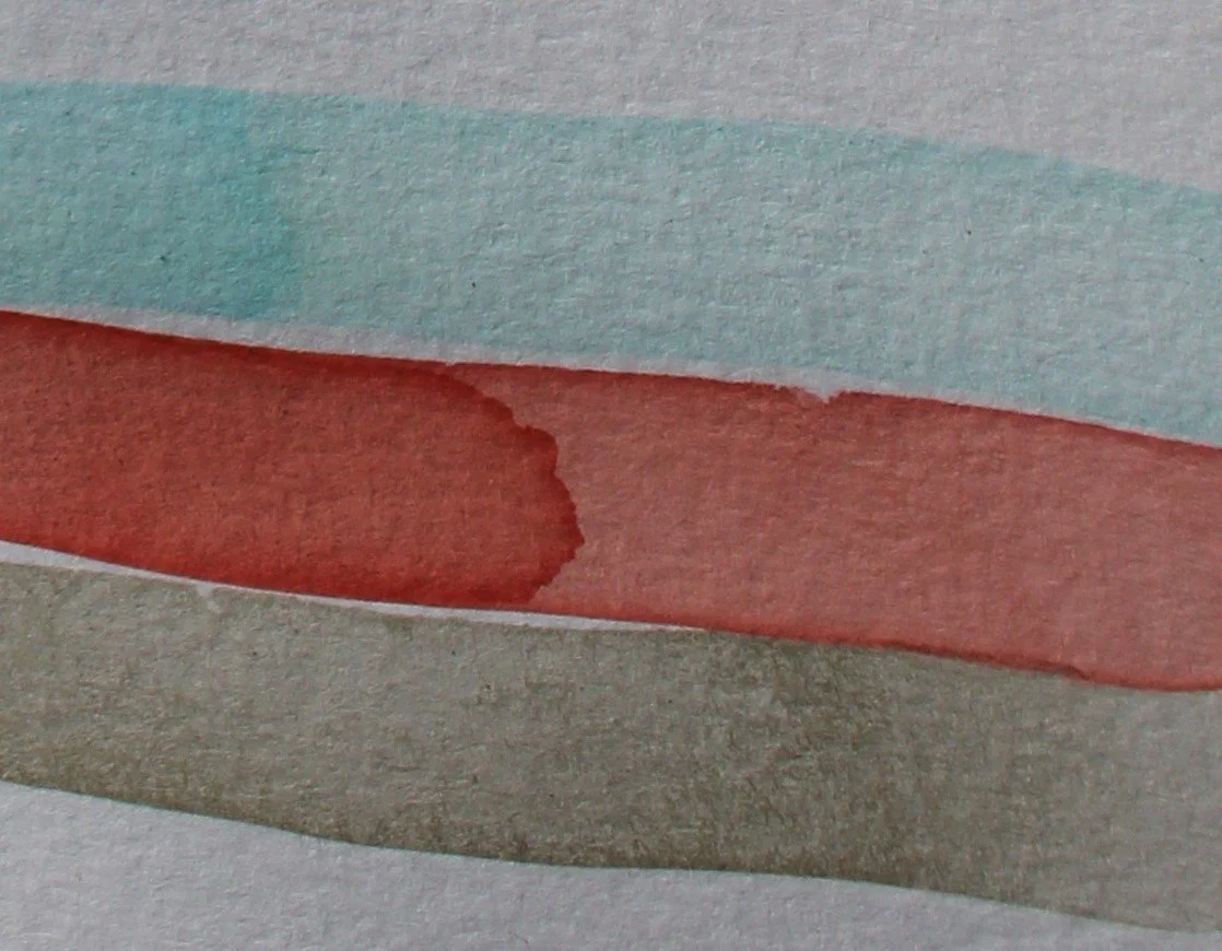 Onion Skins now available for all you home dyeing projects. — WESTWOOD ...