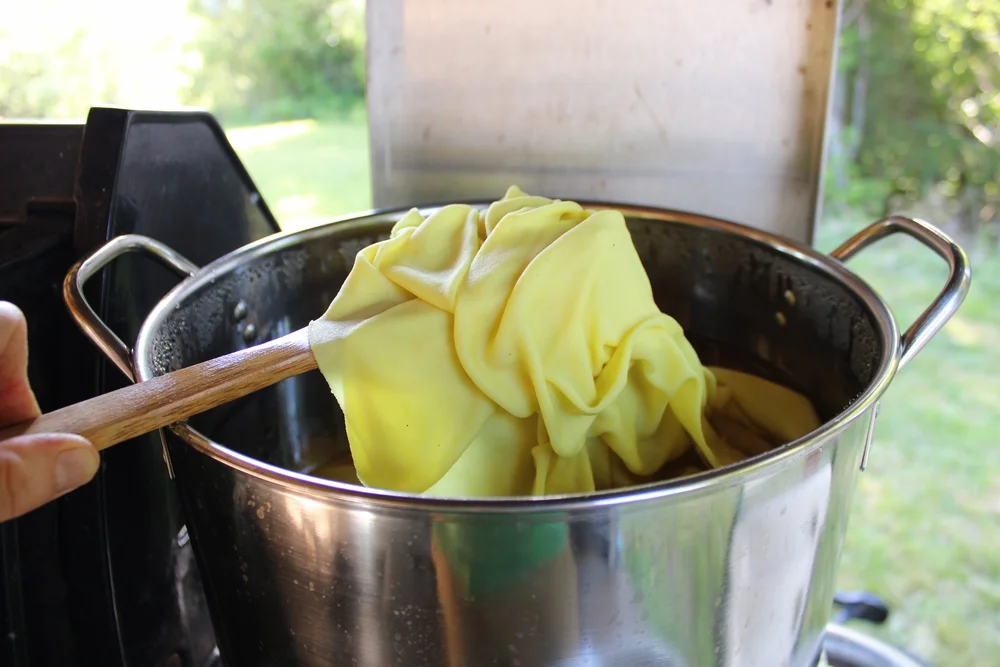 Onion Skins now available for all you home dyeing projects. — WESTWOOD ...