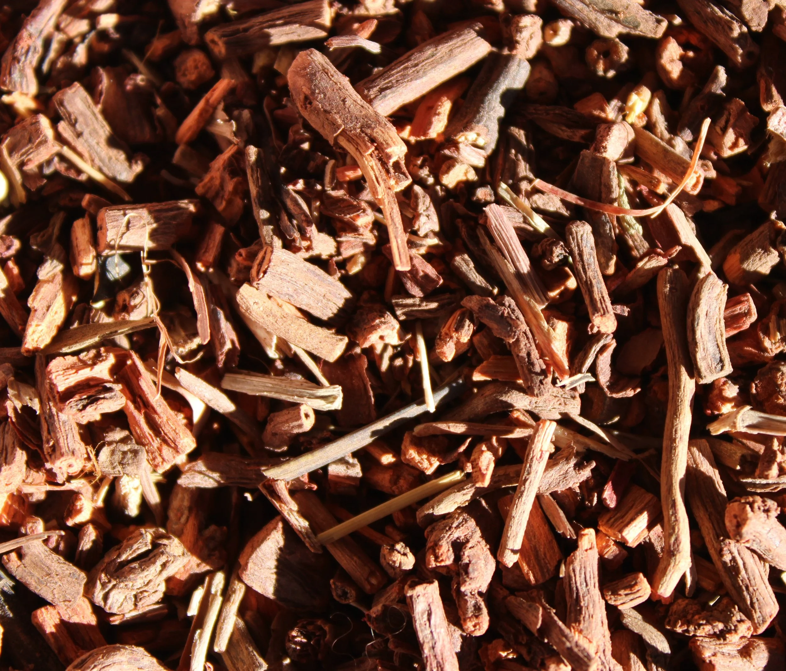 Dried Tansy Tops for Natural Dye and Botanical Ink — WESTWOOD COLOR