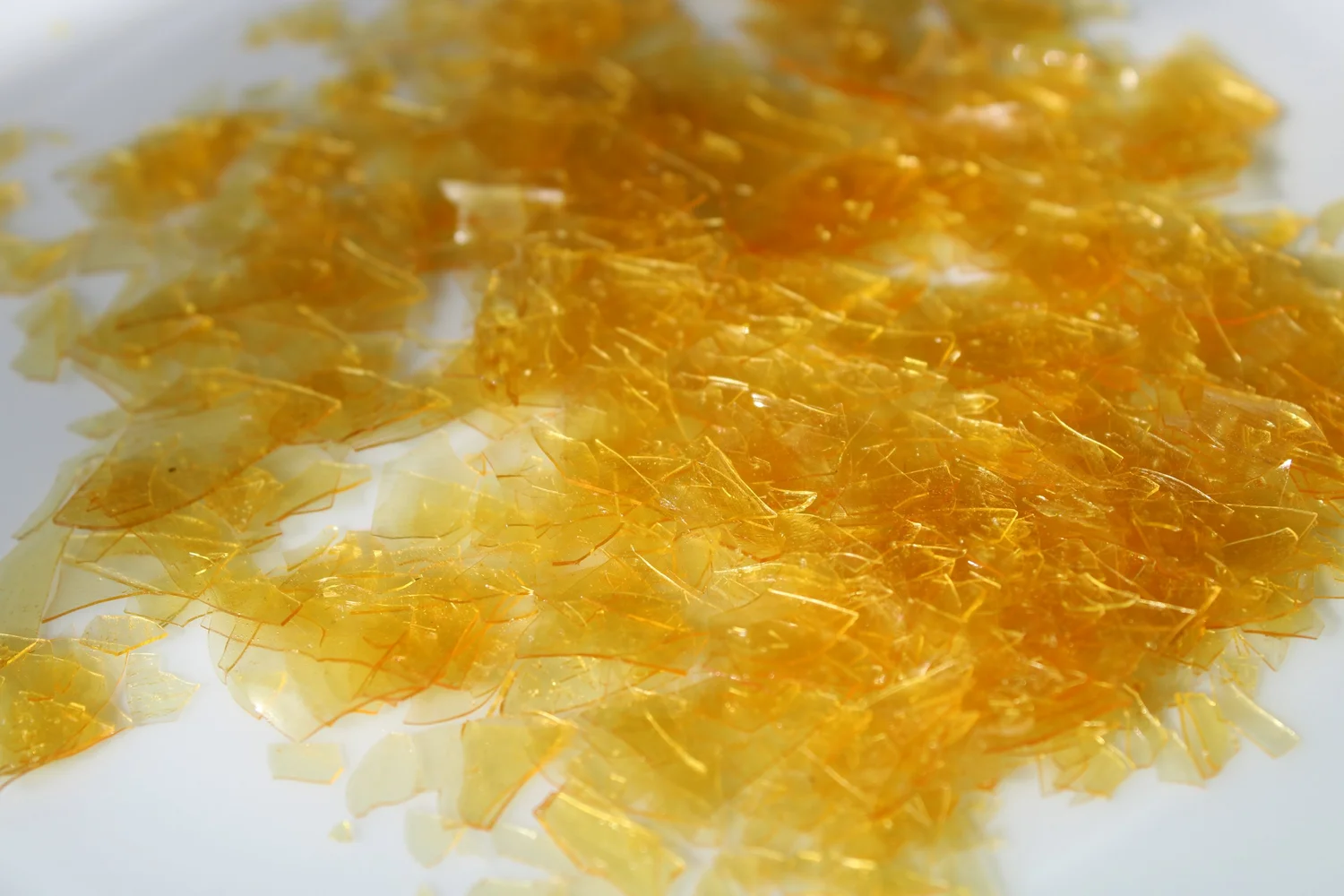 Dried Tansy Tops for Natural Dye and Botanical Ink — WESTWOOD COLOR