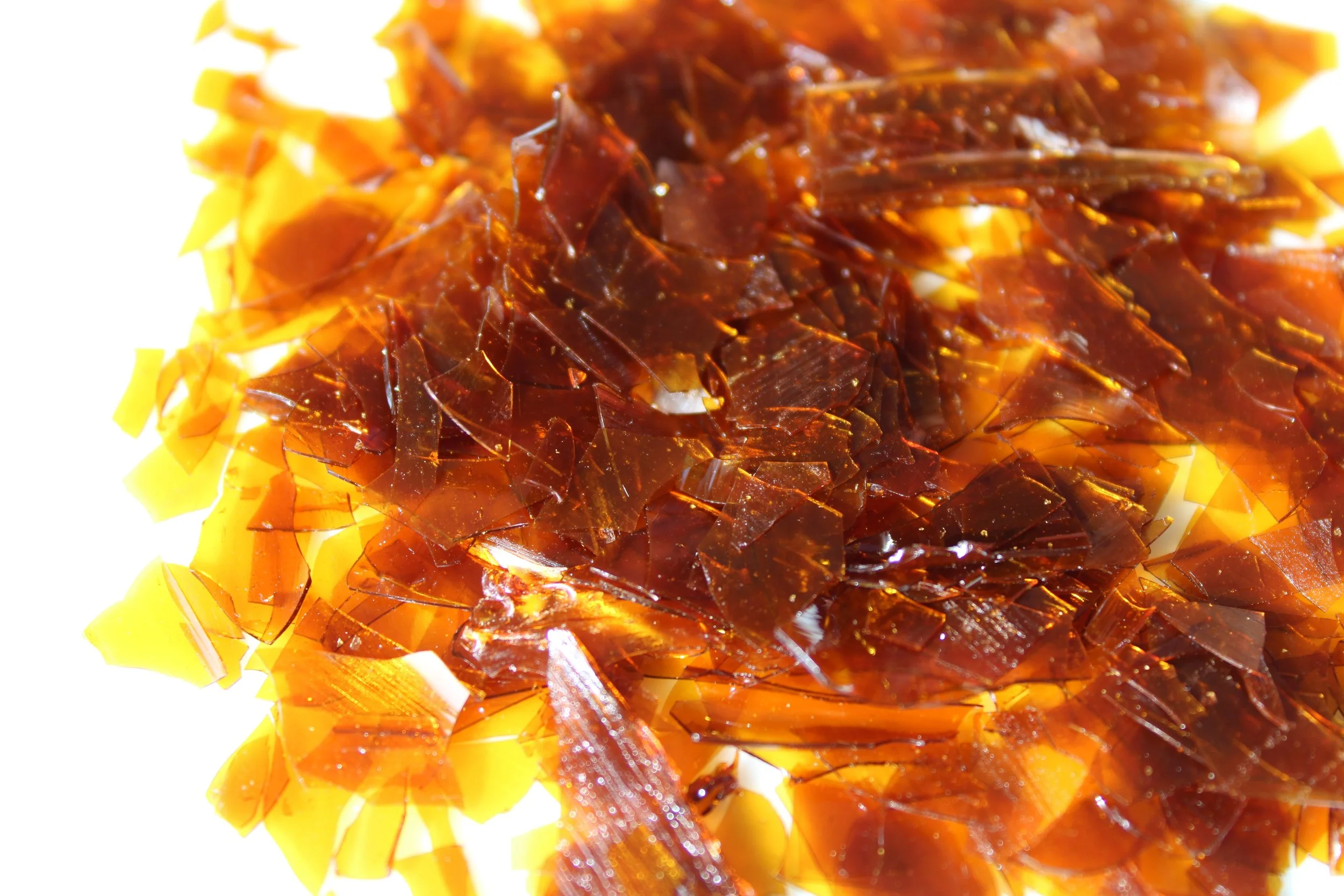 Onion Skins now available for all you home dyeing projects. — WESTWOOD ...
