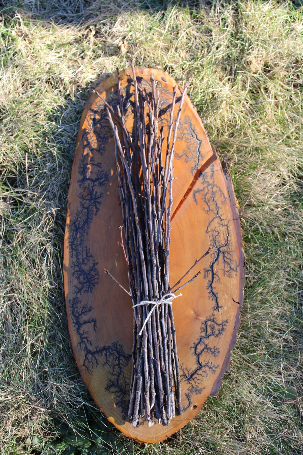 Onion Skins now available for all you home dyeing projects. — WESTWOOD ...