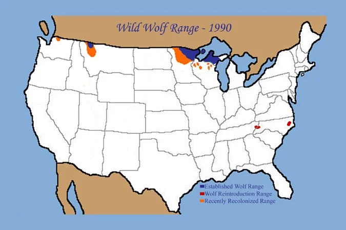 Brief History of Wolves in the Wild — Mission:Wolf