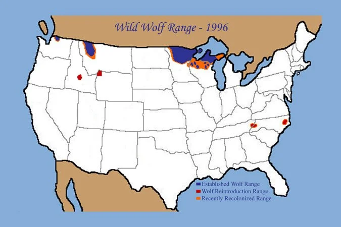 Brief History of Wolves in the Wild — Mission:Wolf