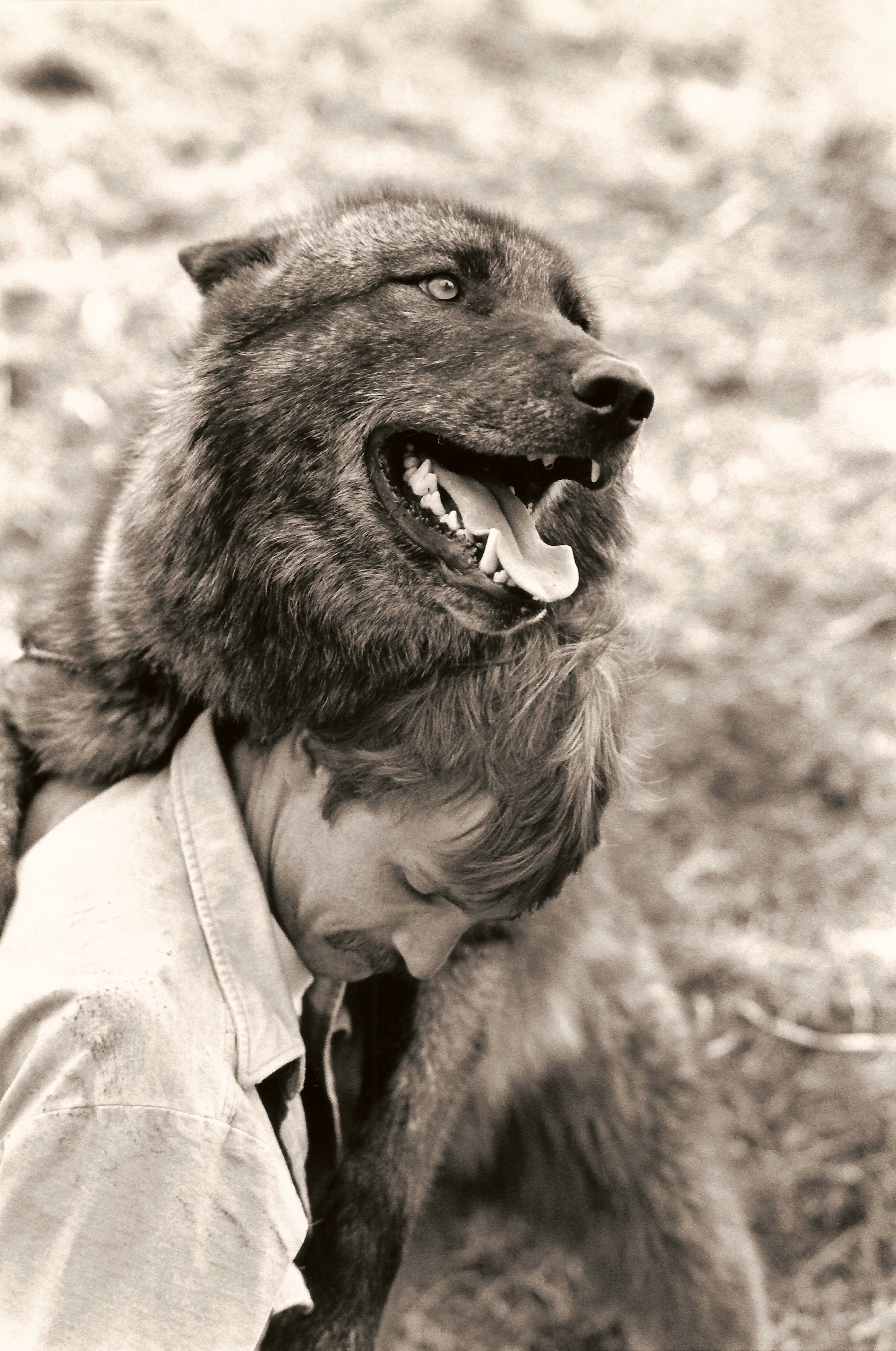 Thoren — Mission:Wolf