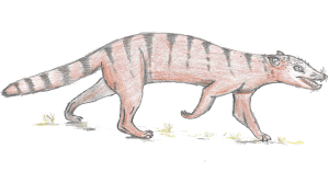 Wolf And Dog Evolution — Mission:Wolf