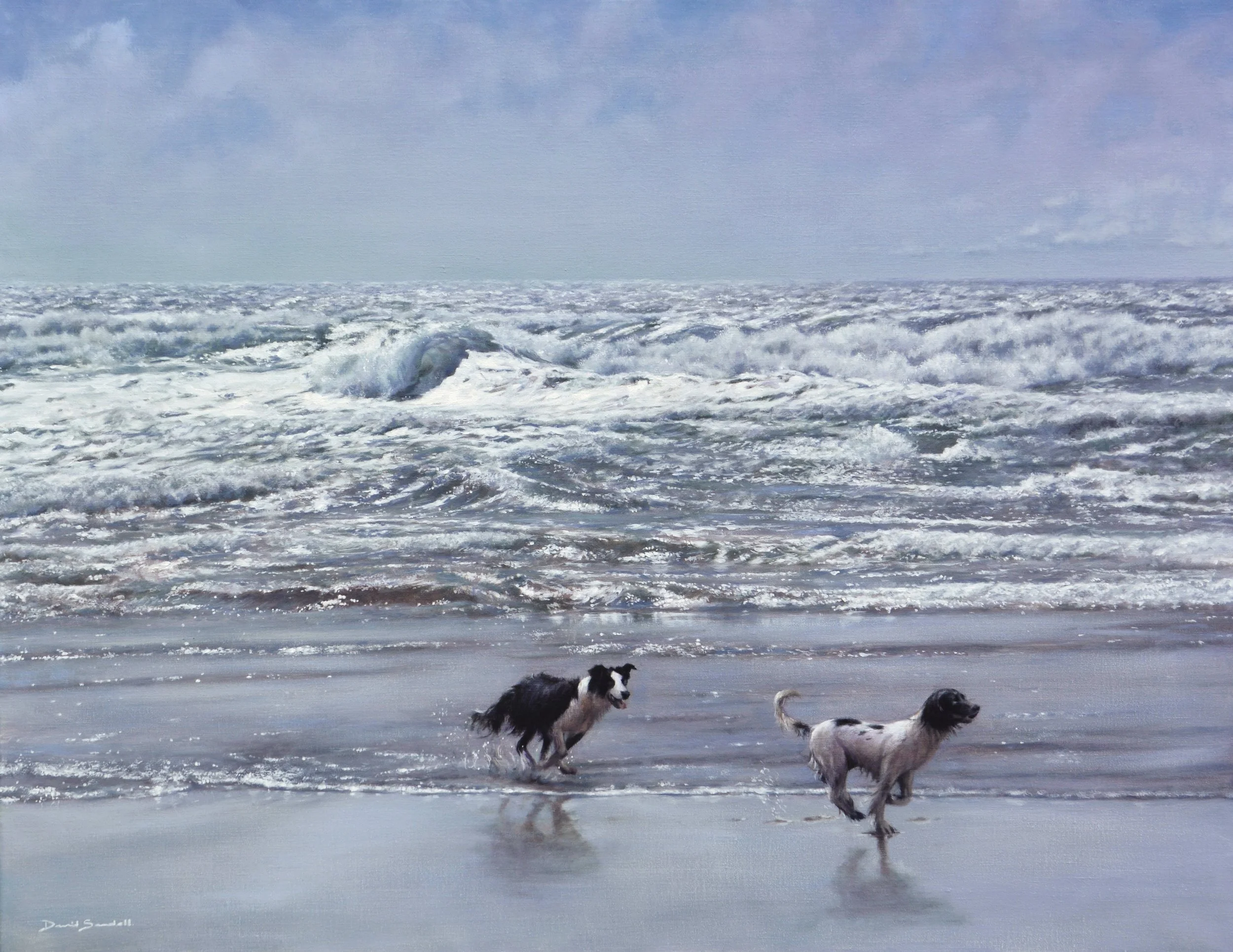 David Sandell | Artist