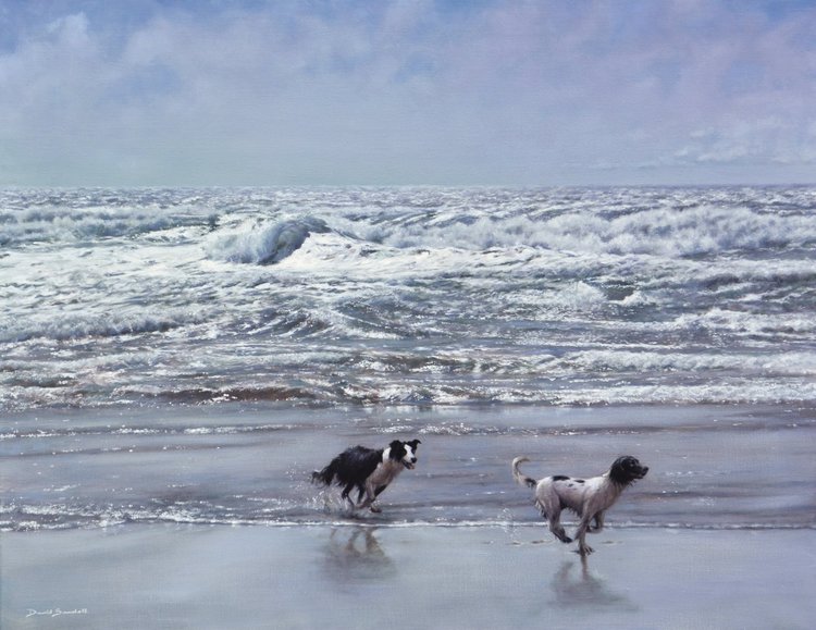 David Sandell | Artist