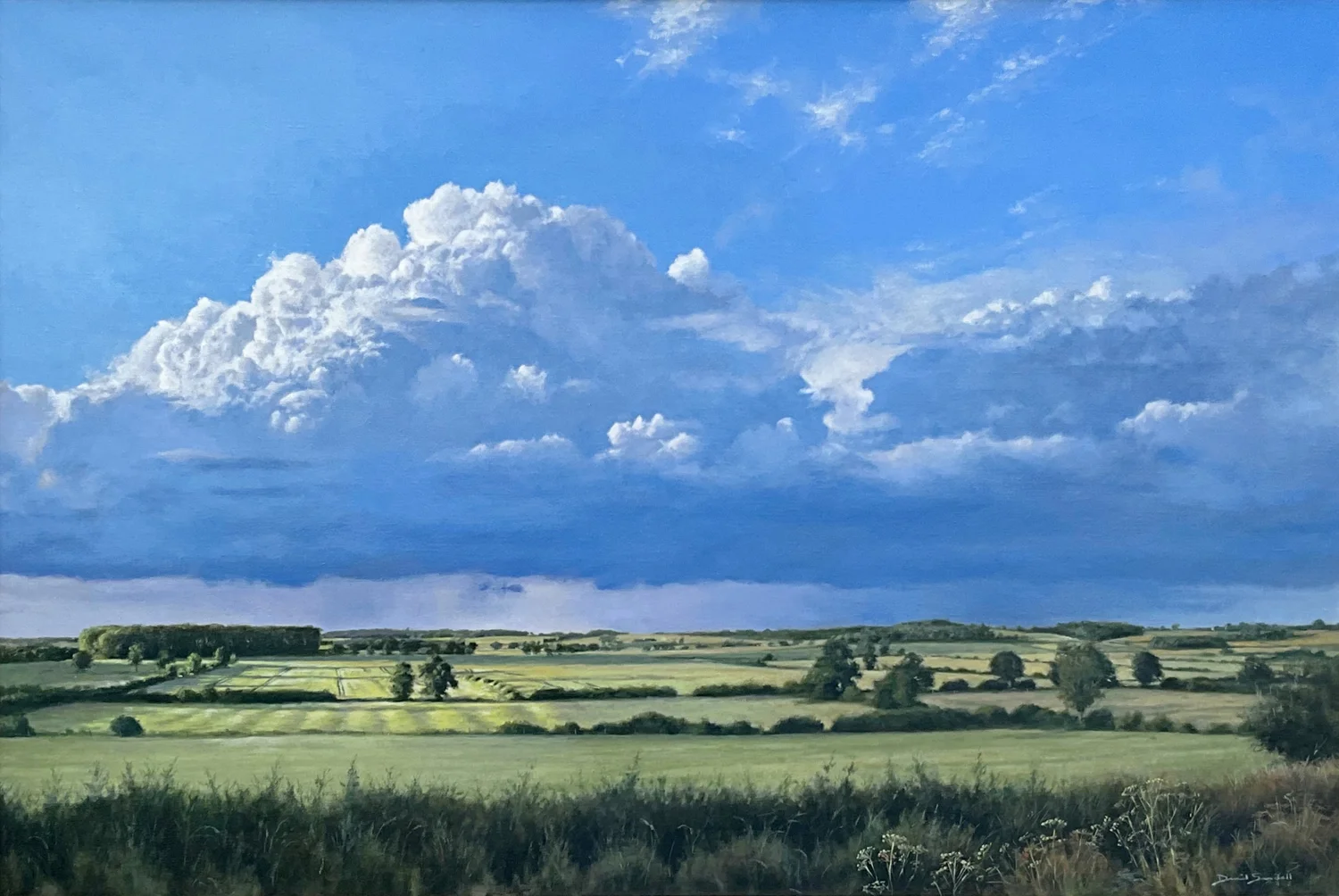Landscapes — David Sandell | Artist