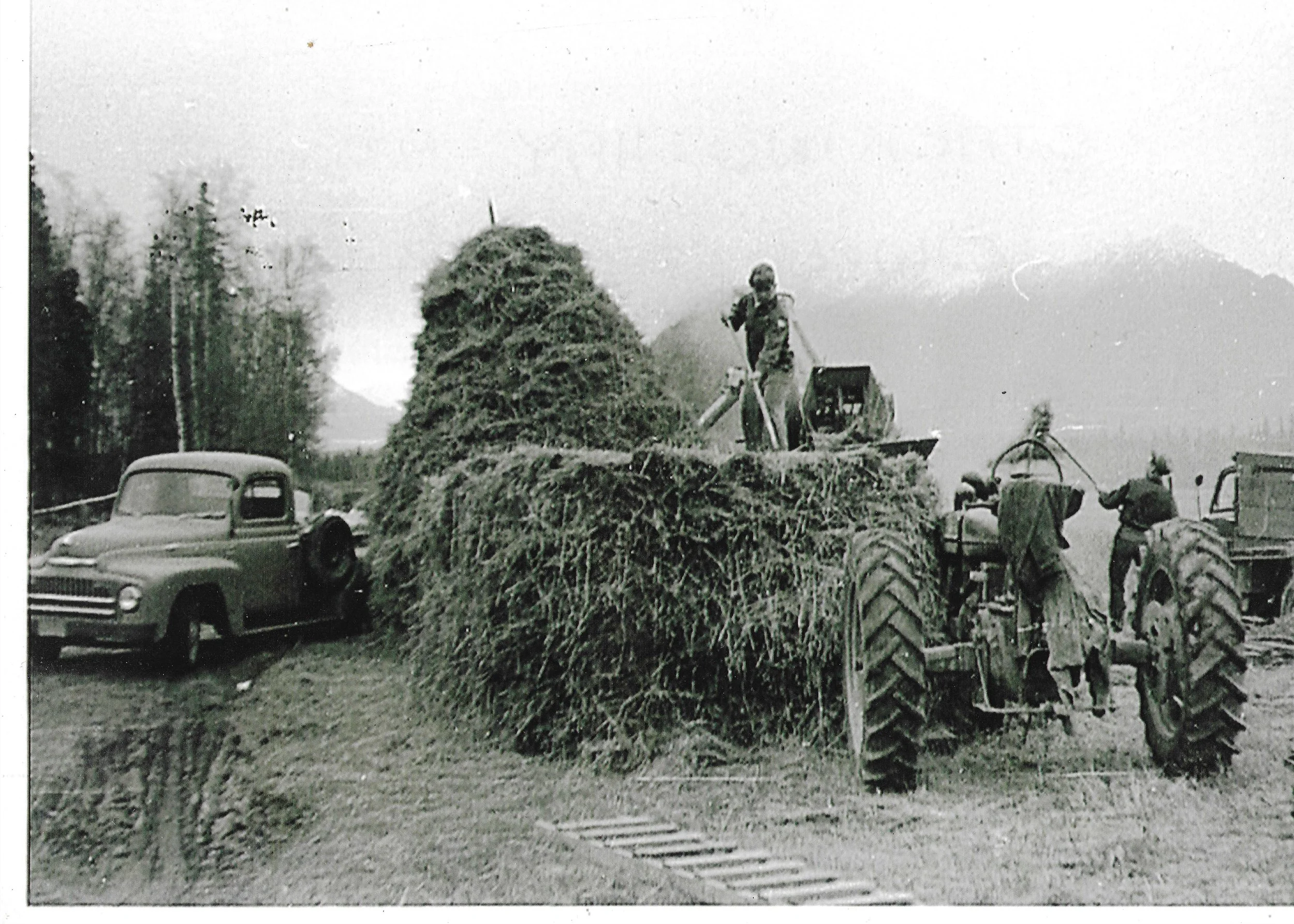 Moonstone Farm