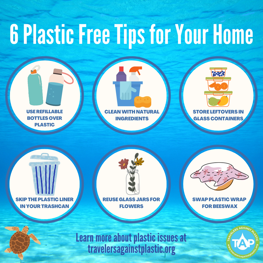 Plastic Free Tips for Your Home — Travelers Against Plastic