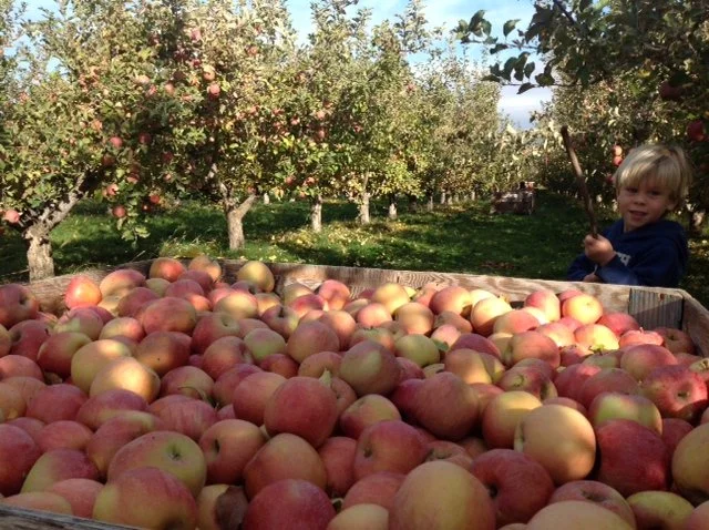 Kelley Orchards | Premium Fresh & Dried Fruit