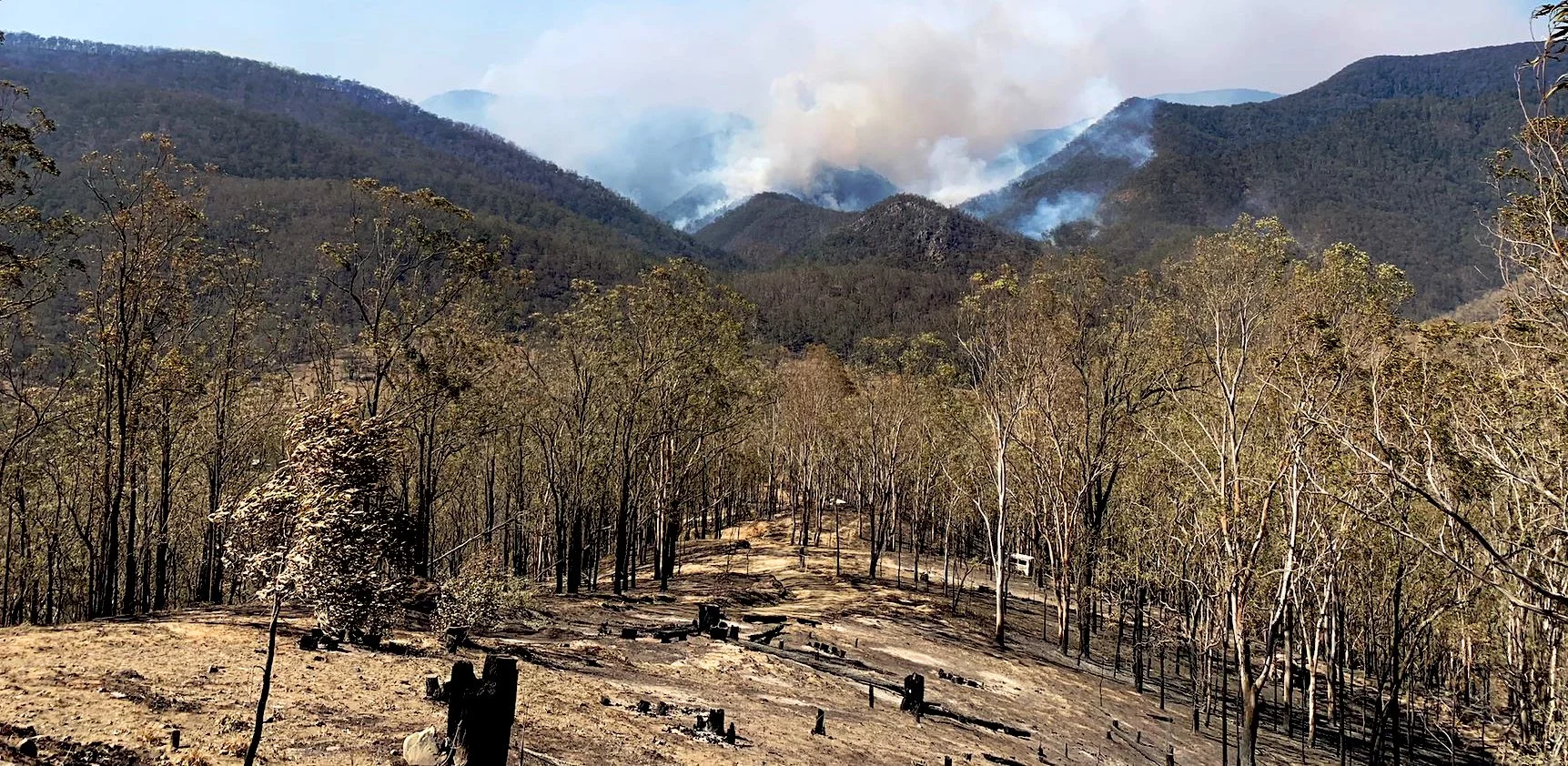 BPES - Bushfire Planning & Environmental Solutions Pty Ltd