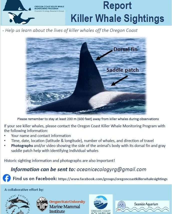 Haystack Rock Awareness Program