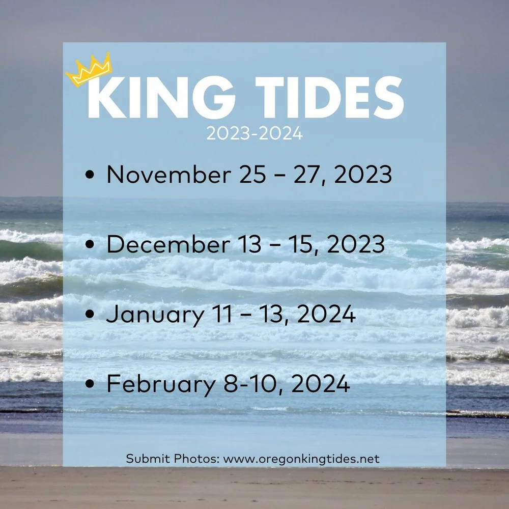 Haystack Rock Awareness Program