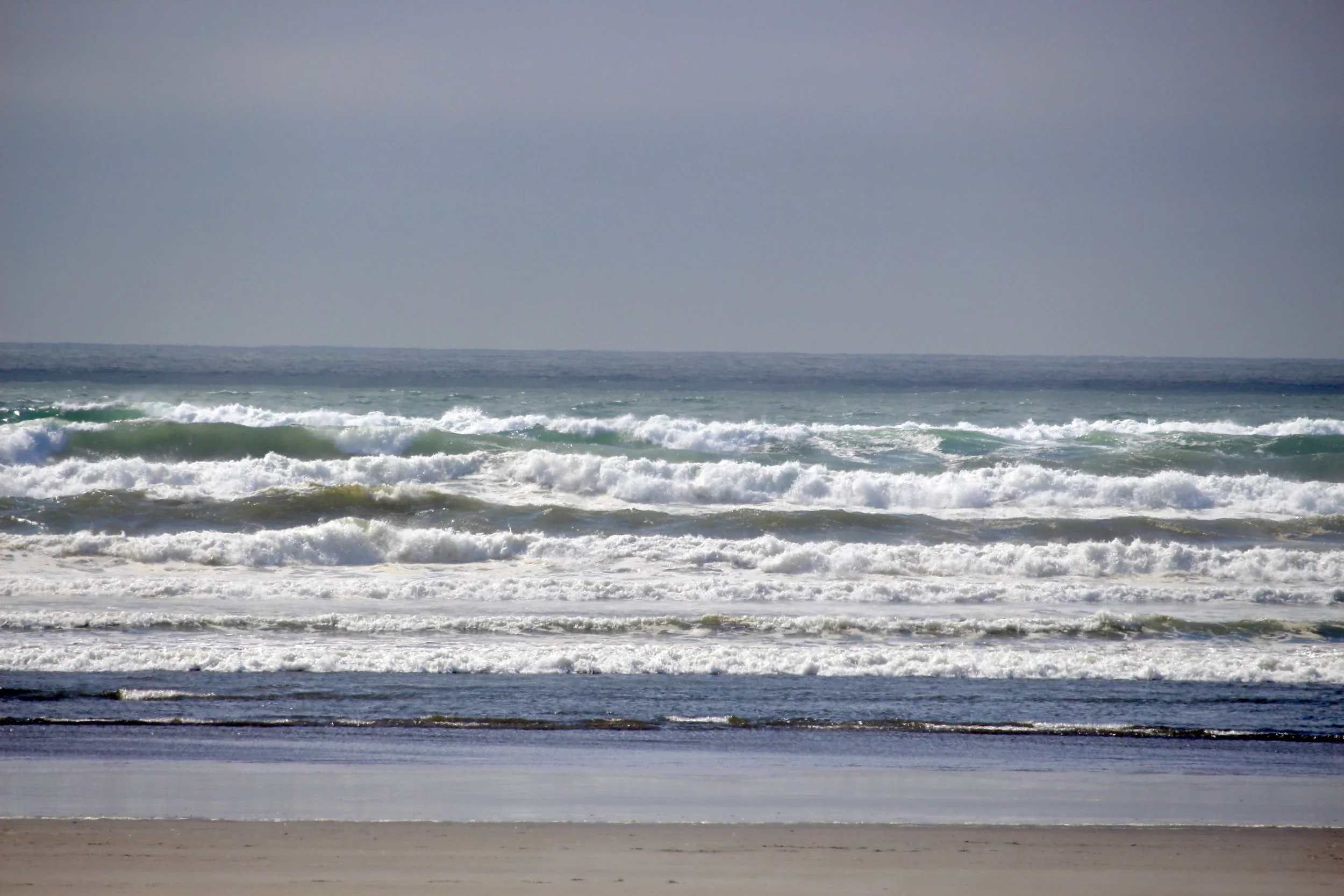 Staff — Haystack Rock Awareness Program