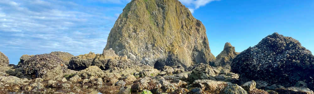 Planning Your Visit — Haystack Rock Awareness Program