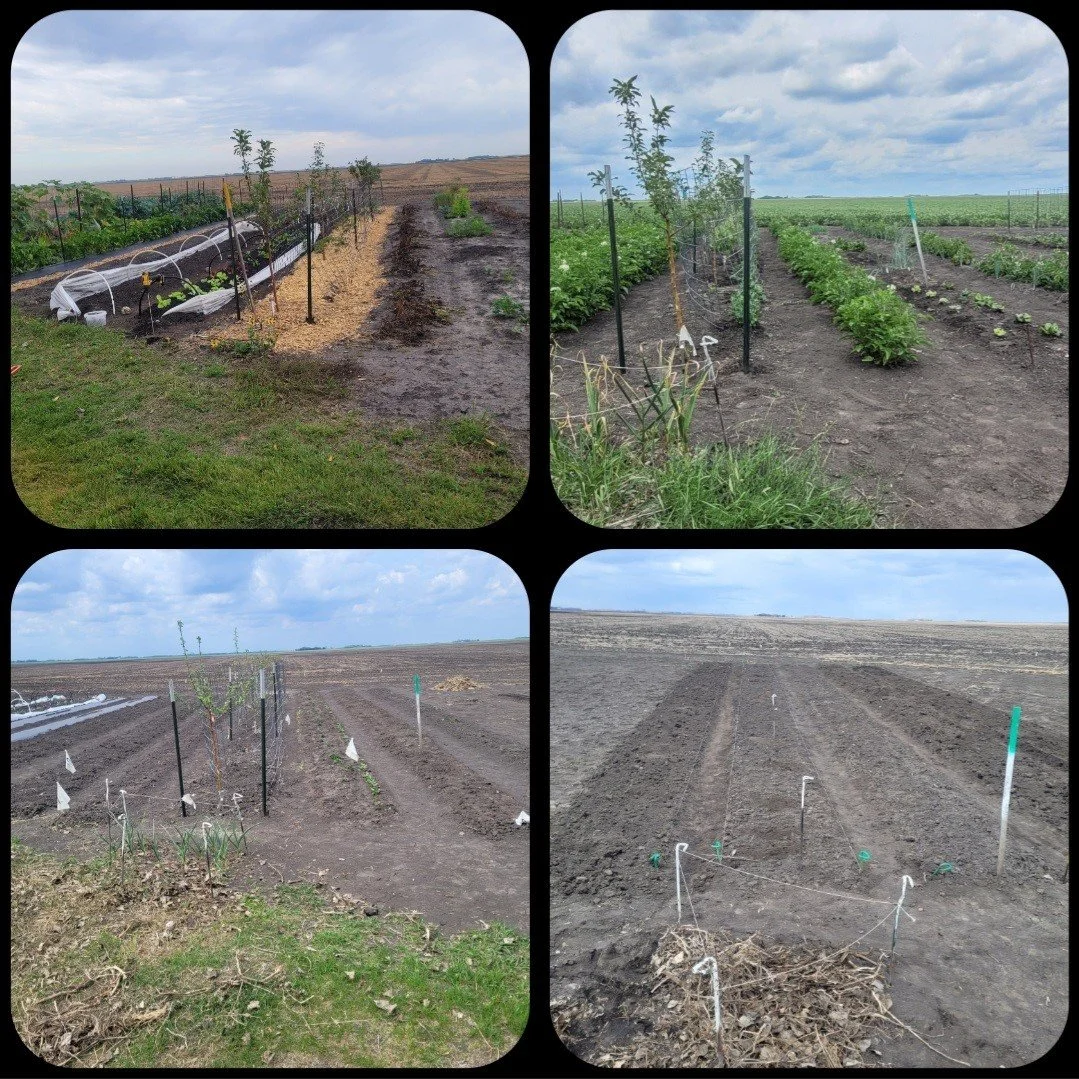 About 3 — Nature's Roots Farm