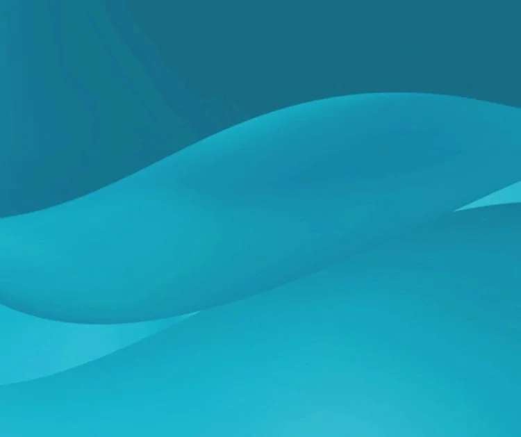 The PERMA Model and a Flourishing Life: An Explainer. — Flourish After ...