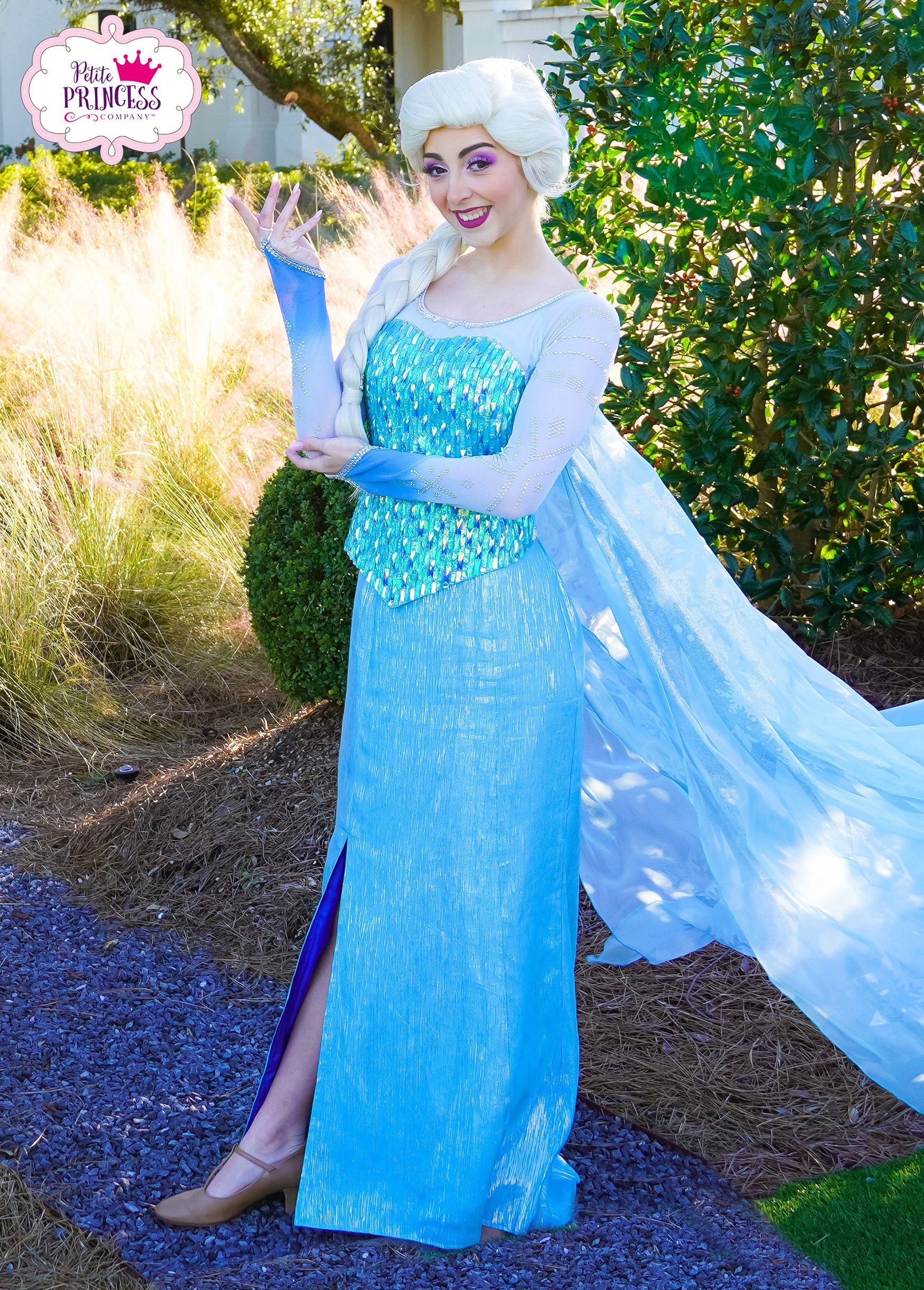 Elsa Meet & Greet — Chee Chee's Playroom