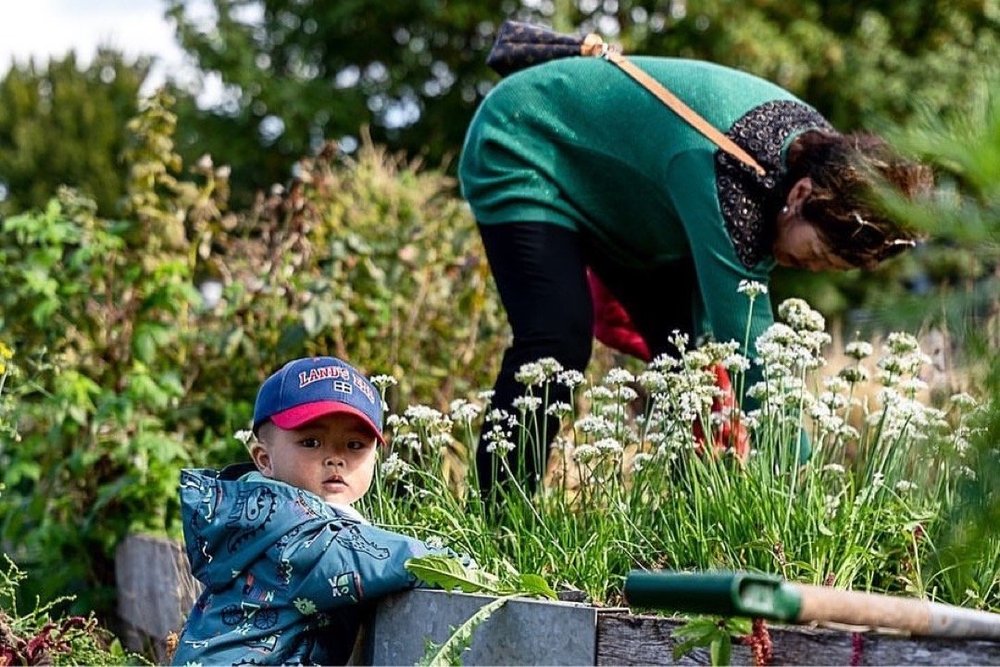 Community Gardens: Exploring London's Green Spaces and Urban Oases ...