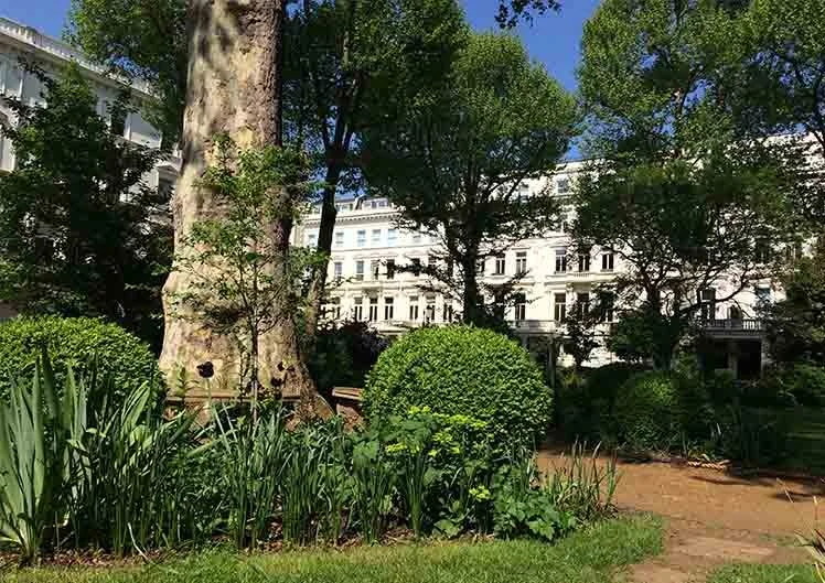 Community Gardens: Exploring London's Green Spaces and Urban Oases ...
