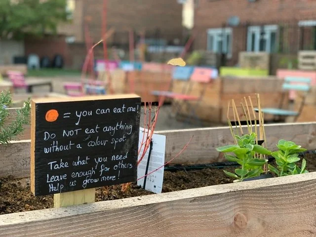 Community Gardens: Exploring London's Green Spaces and Urban Oases ...