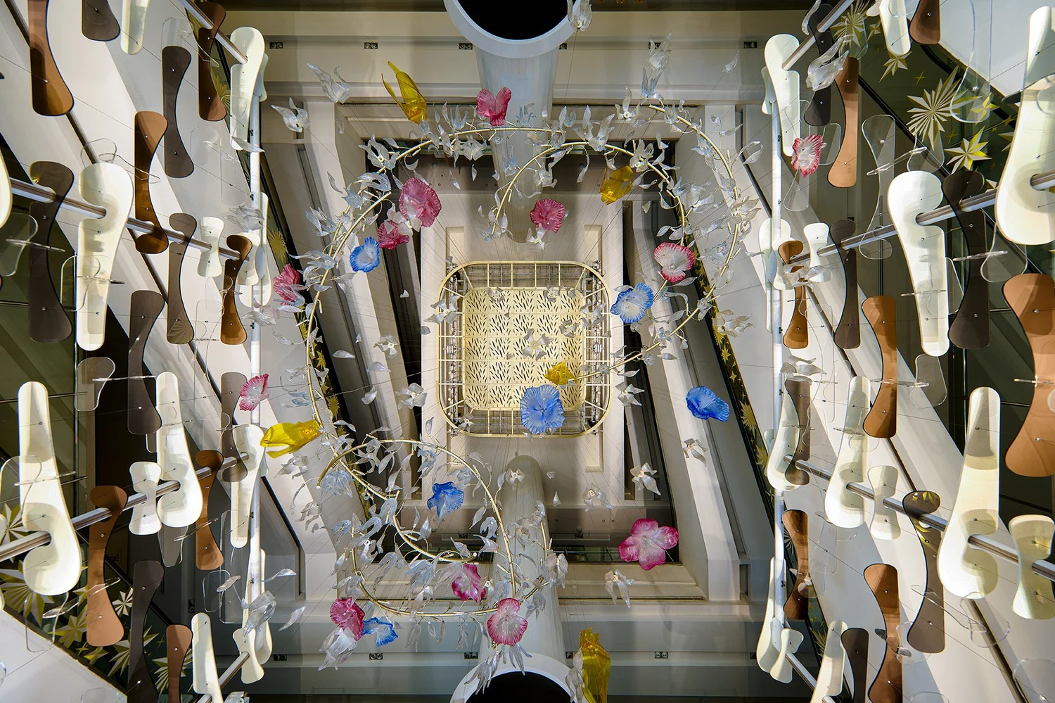 Projects — Bellitas