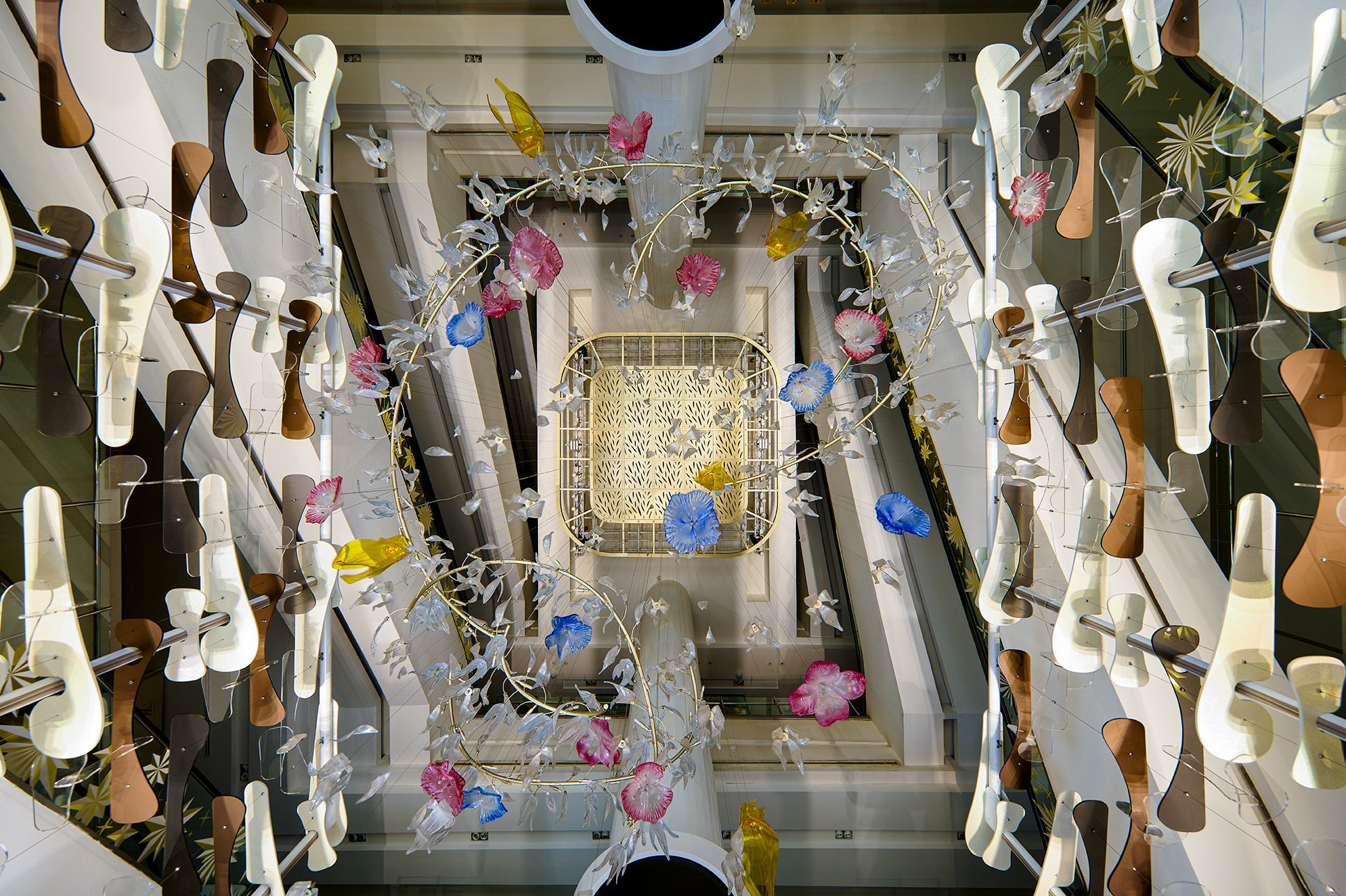 Projects — Bellitas