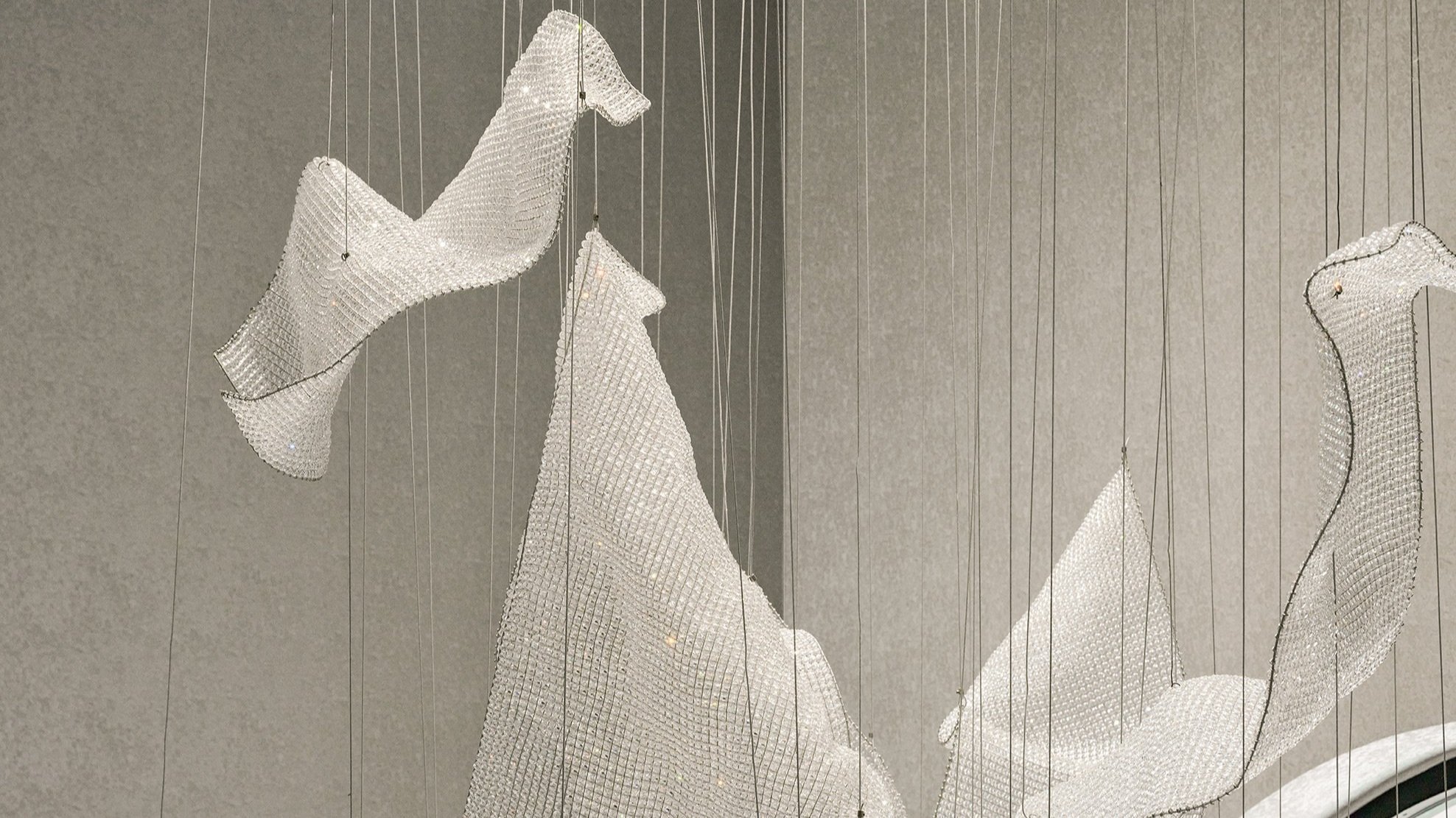 Projects — Bellitas