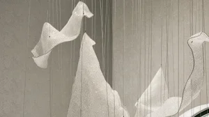 Projects — Bellitas