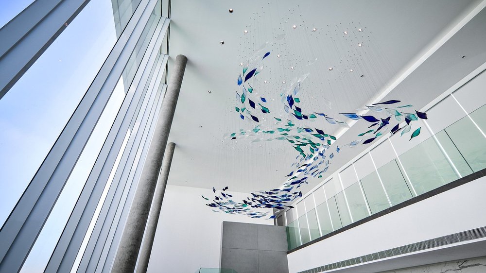 Projects — Bellitas