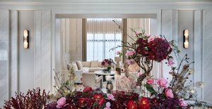 Projects — Bellitas