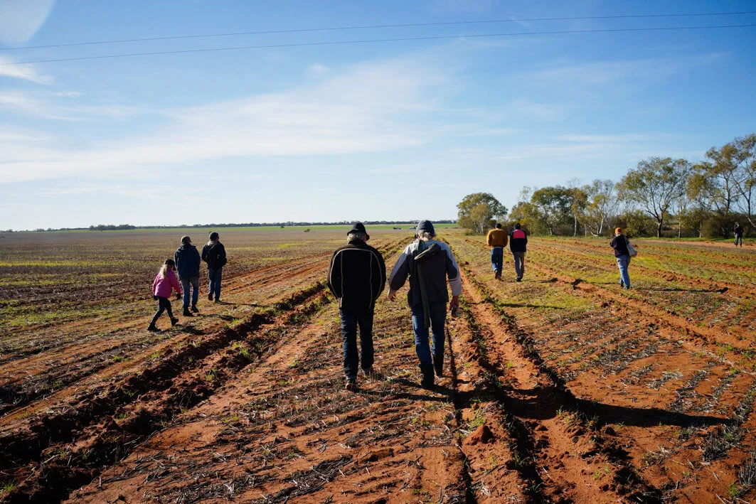 Activate Tree Planting