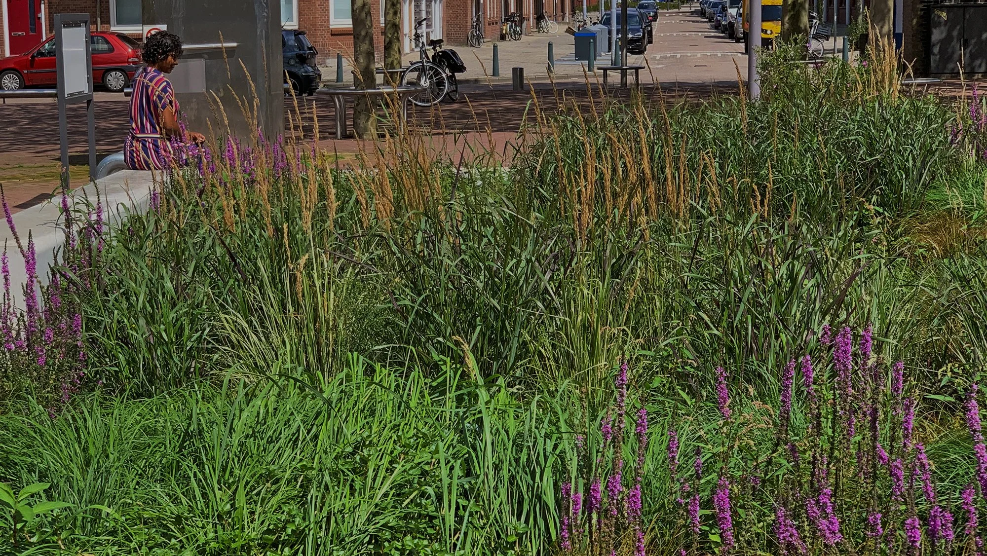 FieldFactors — Rainwater treatment & storage technology