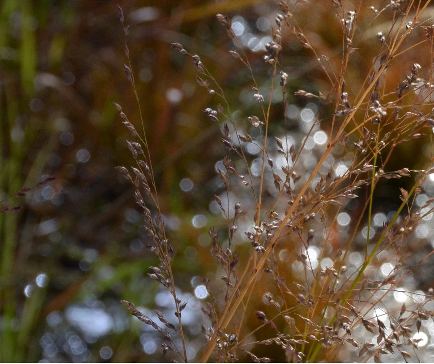 FieldFactors — Rainwater treatment & storage technology