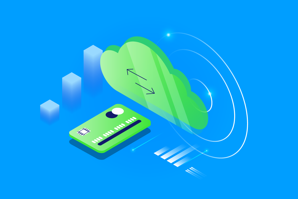 Loyalty Program Features — vLoyalty