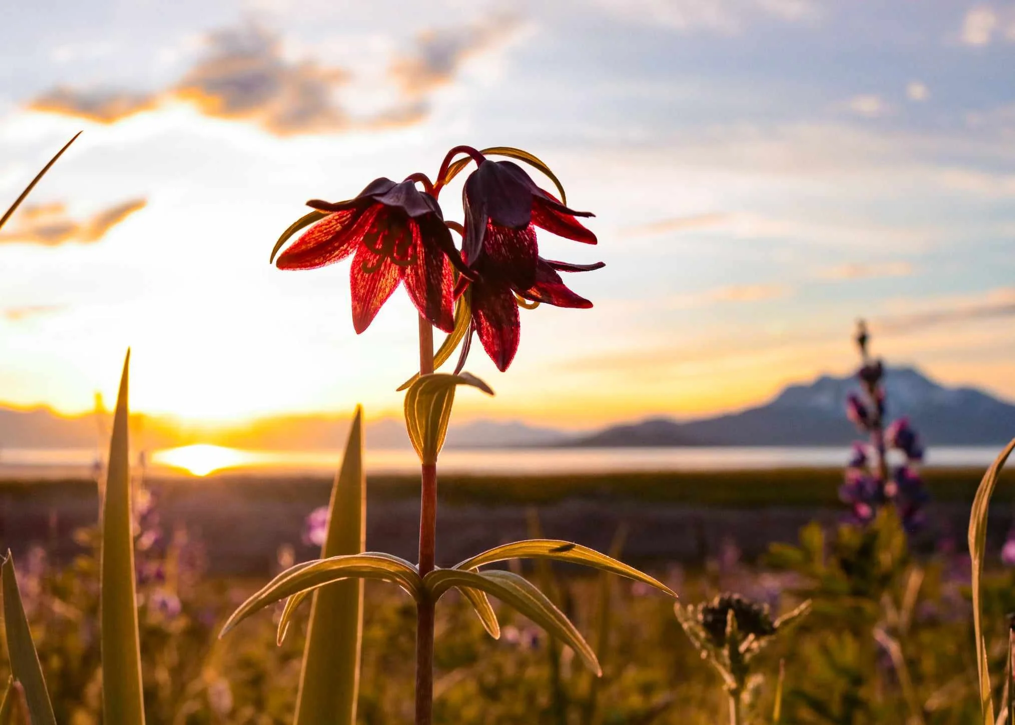 Newsletter Stories — Echo Ranch Bible Camp