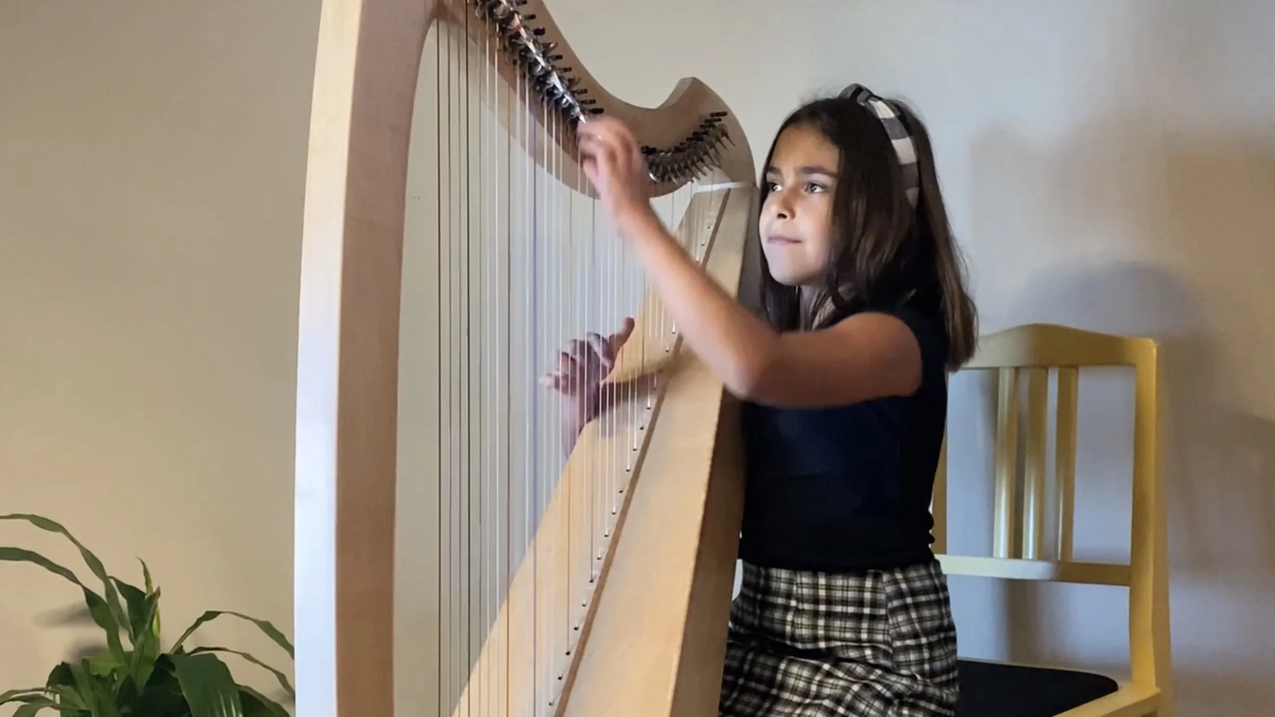 Harp Lessons/Event Harpist/Harp Music