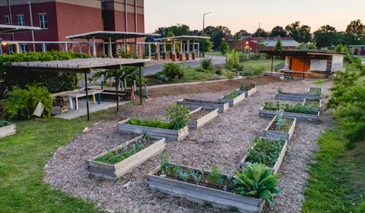 Jones Valley Teaching Farm — Anne Saxelby Legacy Fund